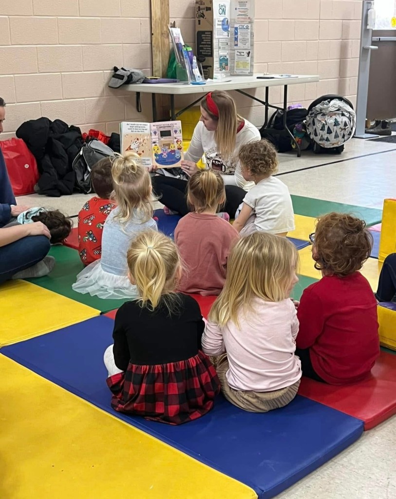 Boom the Chickabee – Words and Pictures by Megan Bateman