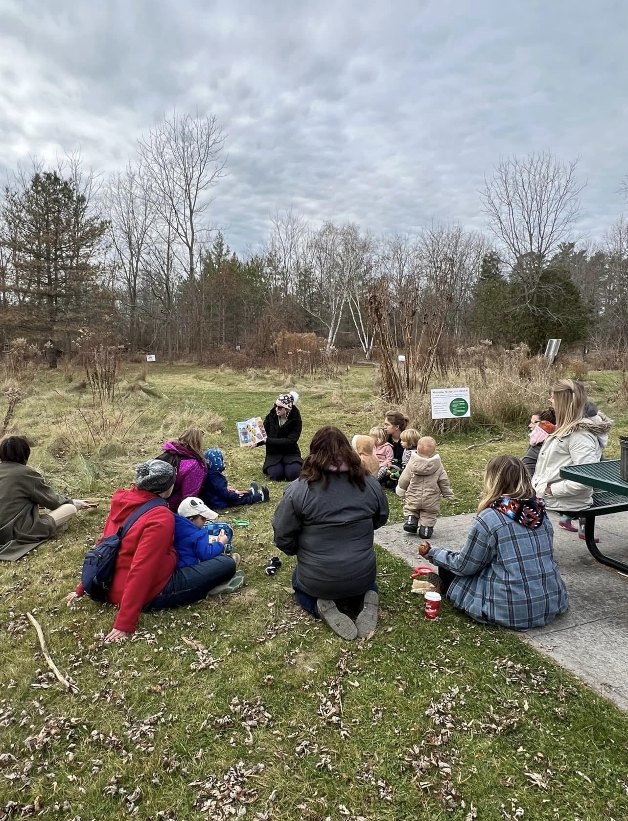 Boom the Chickabee – Words and Pictures by Megan Bateman